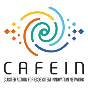 CAFEIN Project: A Beacon for Green Transition in Europe - European ...